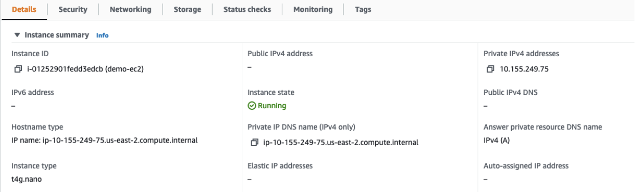 How to Use AWS CLI SSM to Connect to Private Resources